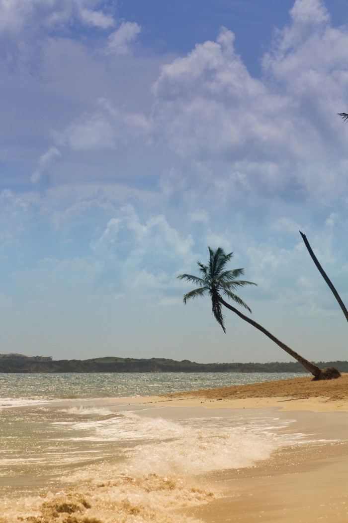 Featured Consulting Projects : The Innovation Group